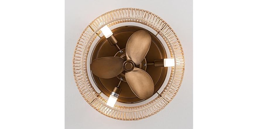 Parrot Uncle F8257-PU Rustic Caged Ceiling Fan