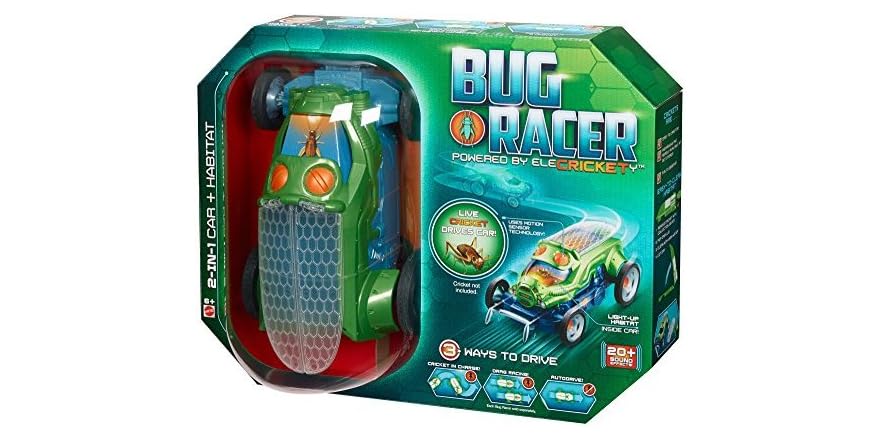 Bug Racer Vehicle