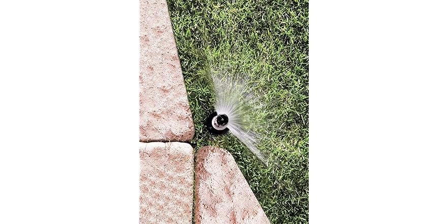 Rain Bird Professional Pop-Up Sprinkle