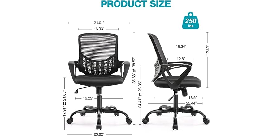 Ergonomic Office Chair w/ Lumbar Support