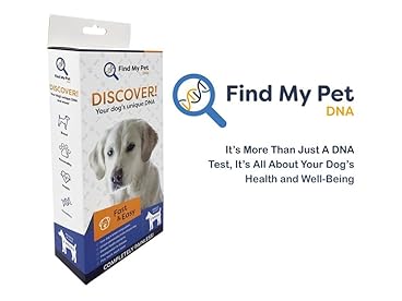 Find My Pet DNA Kit