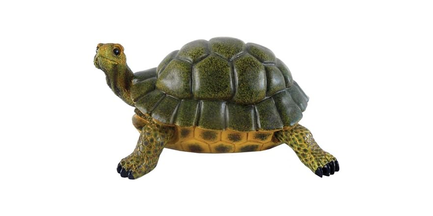 Turtle Statue, Medium