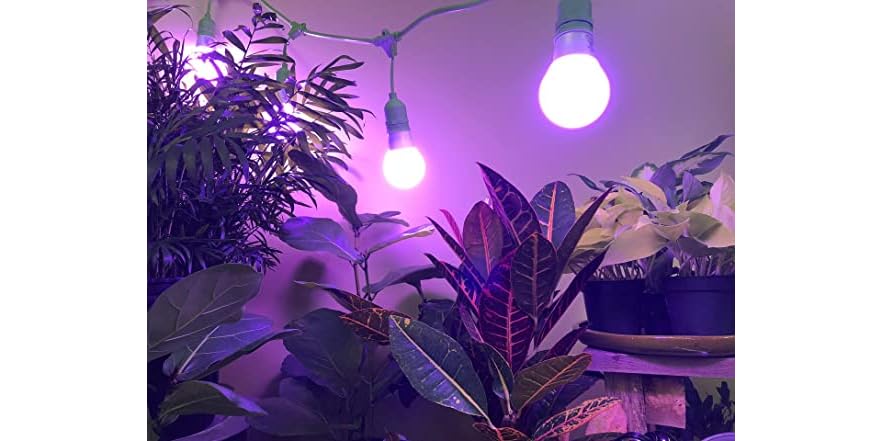 4-Socket 6ft Red & Blue Spectrum Grow Light