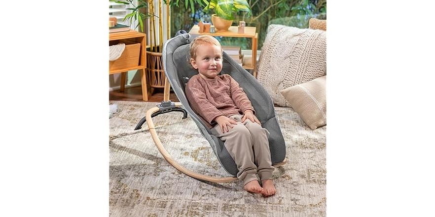 Ingenuity Every Season 2-in-1 Baby Rocker