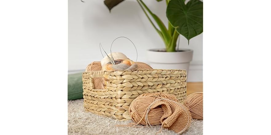 HOMESTEAD Water Hyacinth Storage Baskets