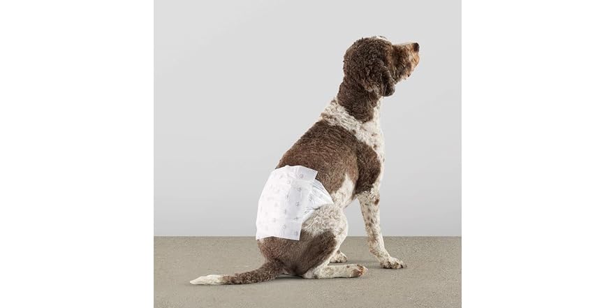 Amazon Basics, Disposable Diapers, Large