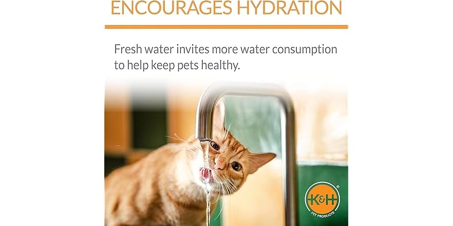 K&H Pet Products CleanFlow Filtered Wate