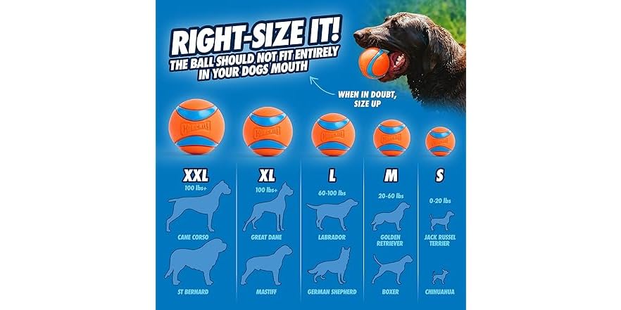Chuckit! Ultra Balls 2" 2pk