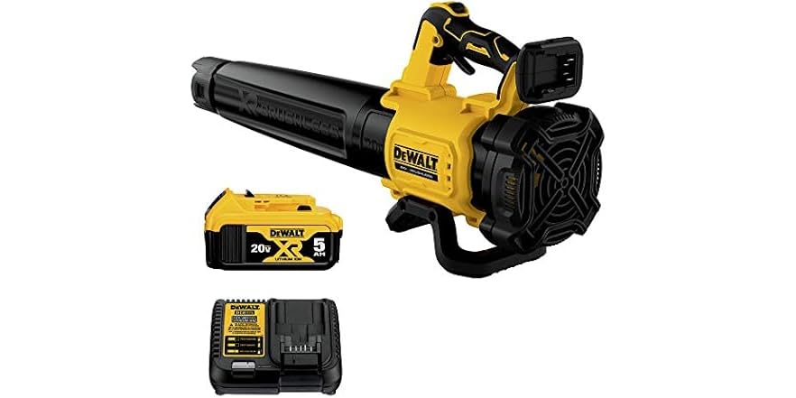 DEWALT DCBL722P1 20V MAX* XR Leaf Blower Kit