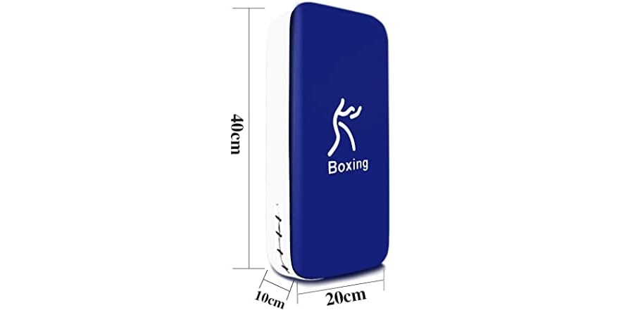 One Boxing Kick Shield