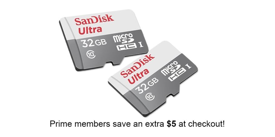 SanDisk Ultra 32GB microSDHC (2 Pack)