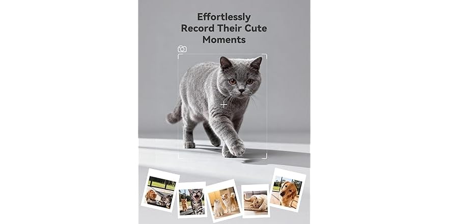 WOPET Automatic Pet Feeder