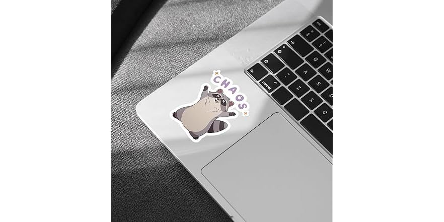 3pc Raccoon Chaos Sticker Meme