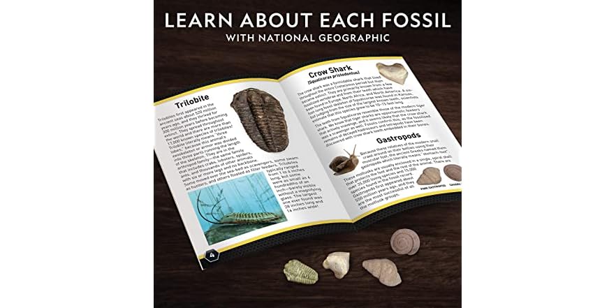 NATIONAL GEOGRAPHIC Mega Fossil Dig Kit