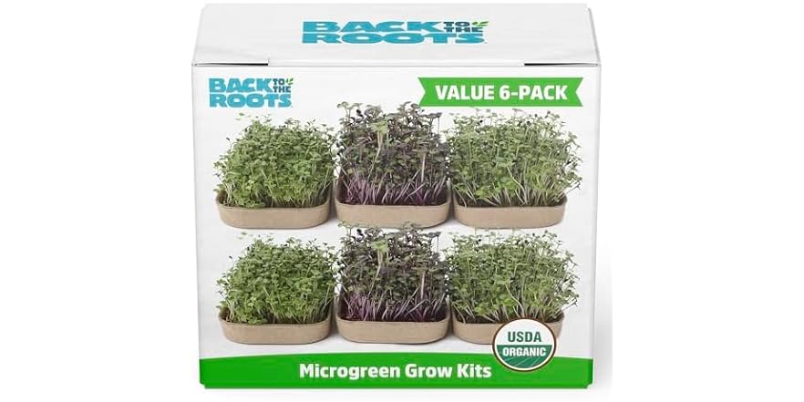 Back to the Roots DIY Microgreen Grow Kit