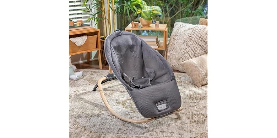 Ingenuity Every Season 2-in-1 Baby Rocker