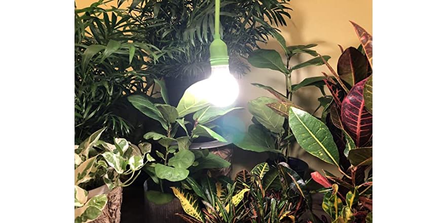 Miracle LED Indoor Greenhouse Light Kit