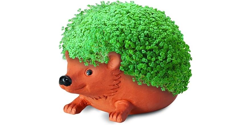 Chia Pet Hedgehog