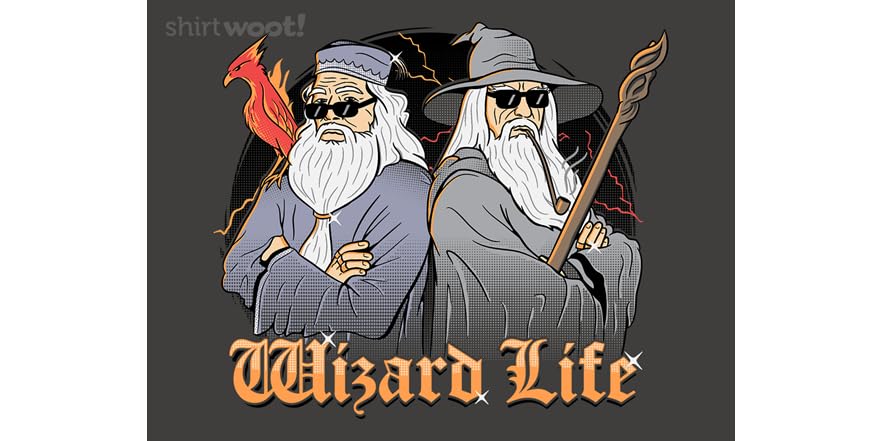 The Wizard Life