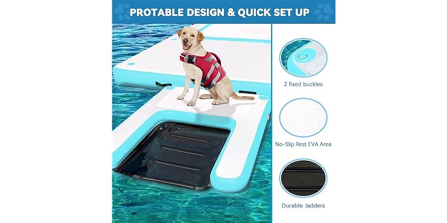 VOFiTNY dog pool ramp
