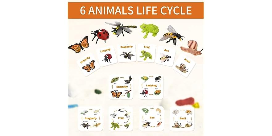 Montessori Life Cycle Animal Figurines, Insects
