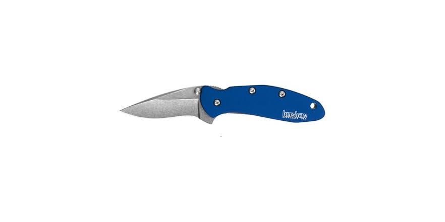 Kershaw Chive Folding Knife