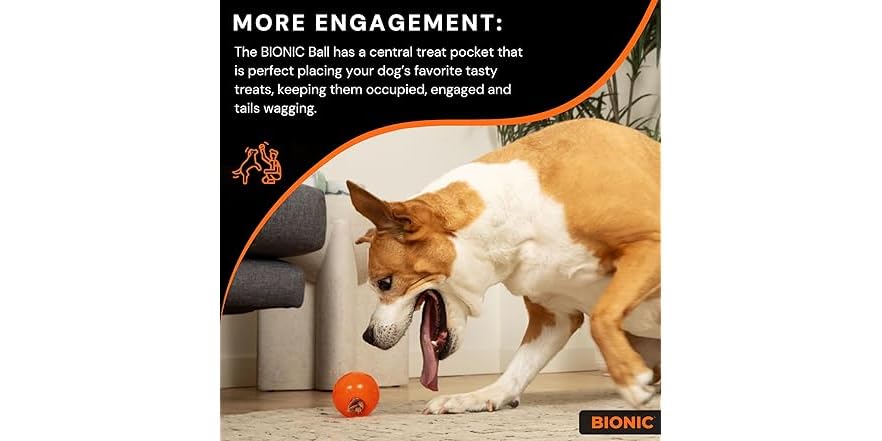 BIONIC Large Dog Chew Ball