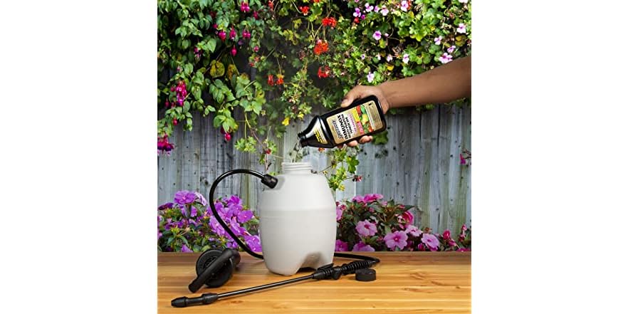 Spectracide Immunox Multi-Purpose Fungicide