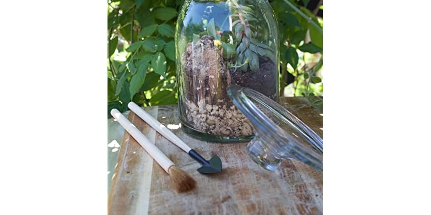 Terrarium Tool Kit