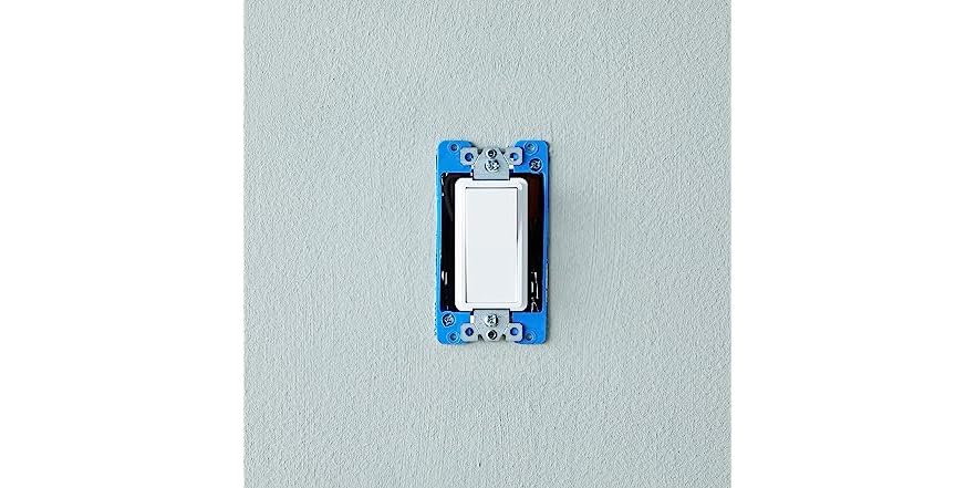 AmazonCommercial Paddle Light Switch