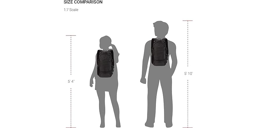 SwissGear Backpack Narrow Daypack