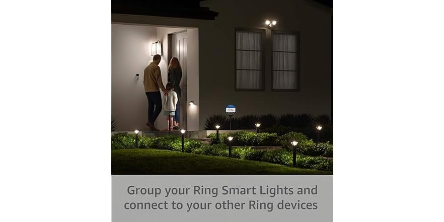 (NEW) Ring Solar Pathlight (Bridge required) (Damaged Packaging)