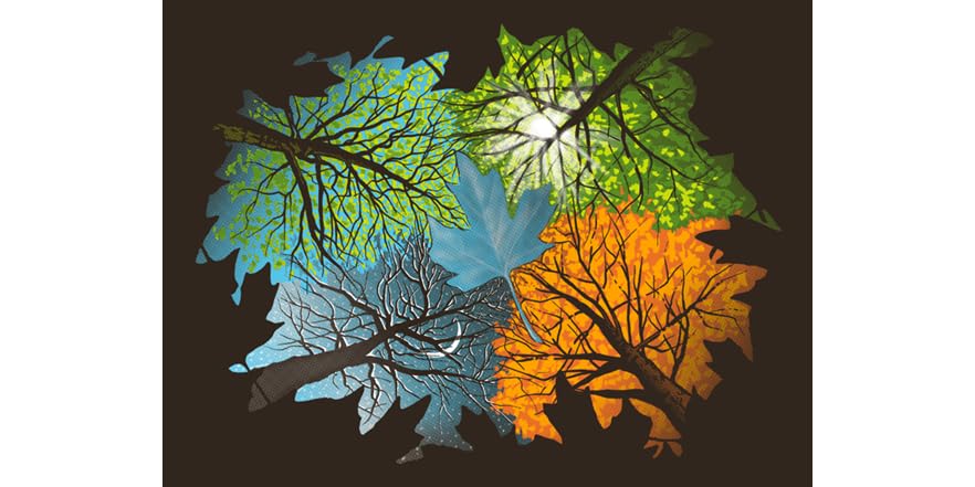 Four Seasons In One Day