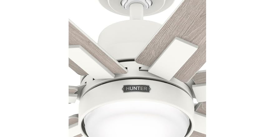70" Hunter Fan with Light & Remote Control 7-blades (Renewed)