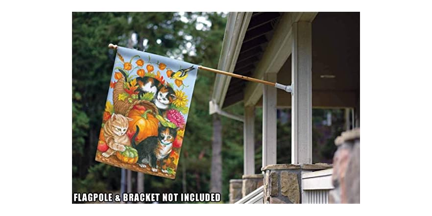 Toland Home Garden Kitten Cornucopia Flag