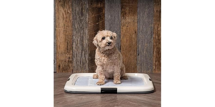 IRIS USA Pee Pad Holder, Square Dog Pad