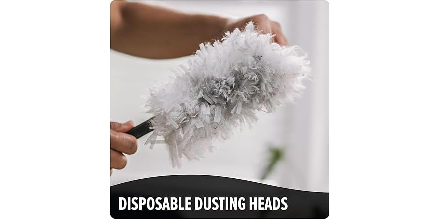Dirt Devil Handheld Duster, MD51000