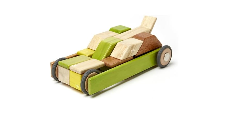 Tegu 42-Piece Magnetic Wooden Block Set