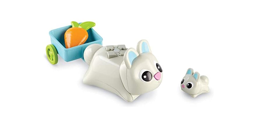Interactive STEM Coding Pet