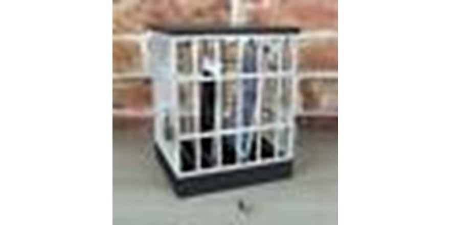 Roca Jail Cell Lock Up - Smartphone Prison