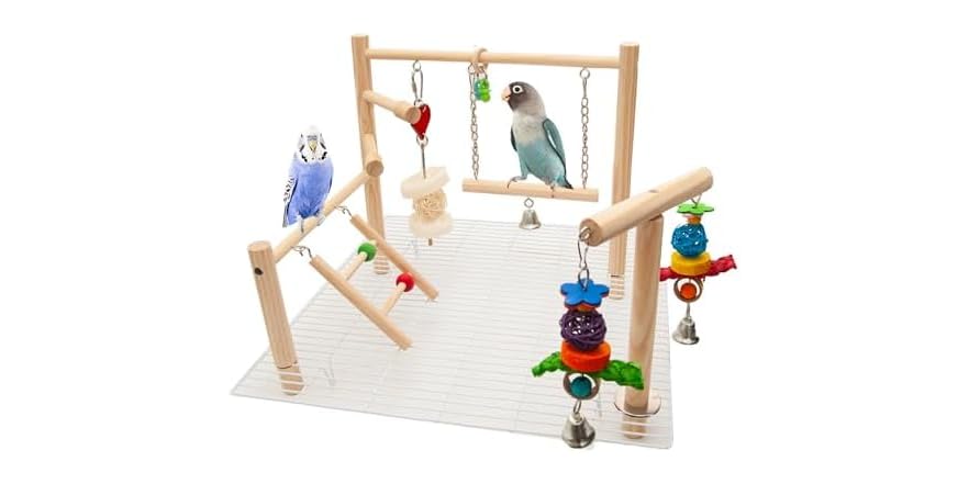Small Bird Playground for Top of Cage