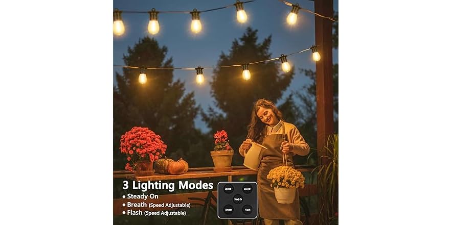 48FT S14 Solar String Lights Outdoor with Remote