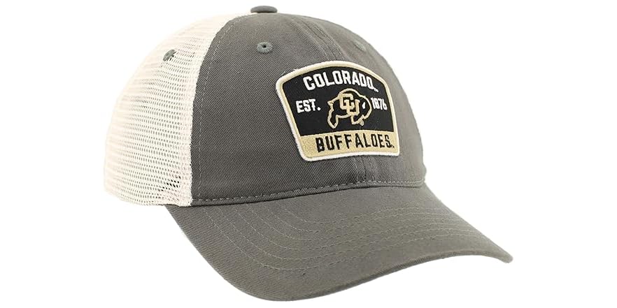 MICHIGAN WOLVERINES Hat Switchback