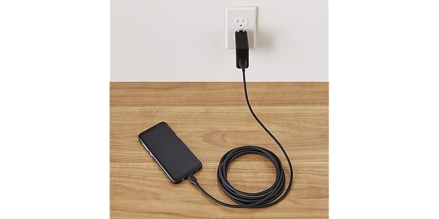 AmazonBasics USB-C to USB-A 2.0 Fast Charger Cable