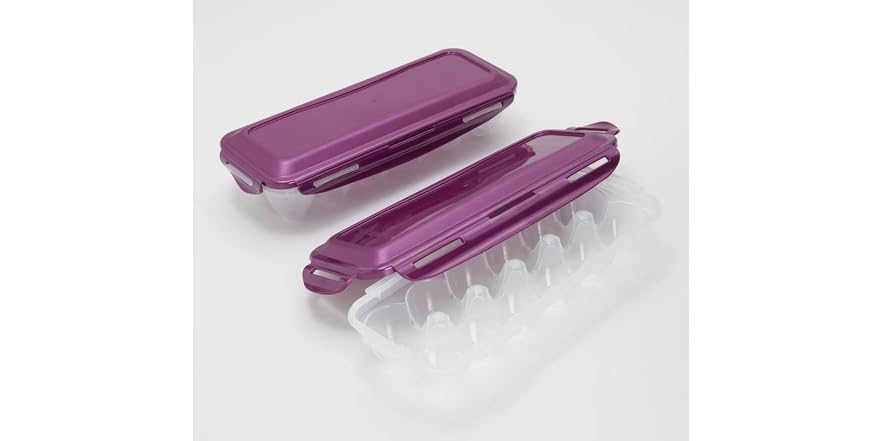 LocknLock Set of (2) 12-Count Egg Holders