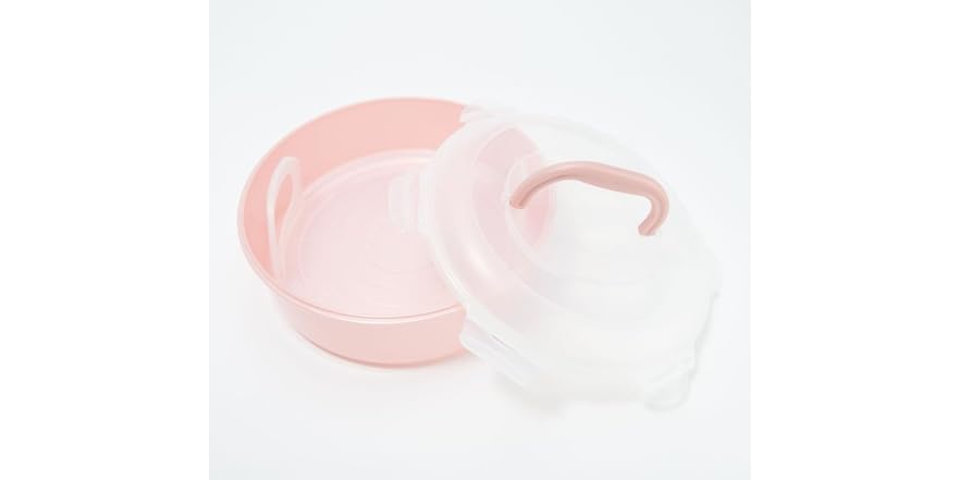 LocknLock Pie Carrier with Handle