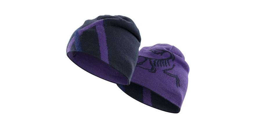 Arc'teryx Arc Mountain Toque