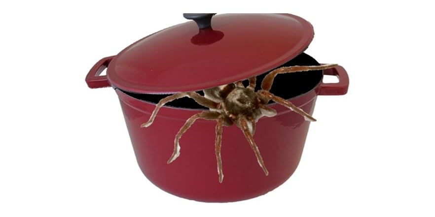 Spider Pot