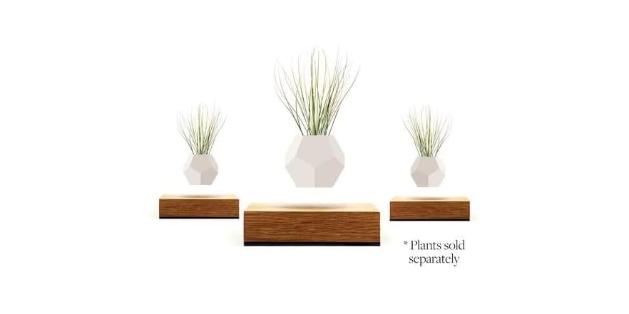 LYFE Levitating Plant Pot for Air Plants