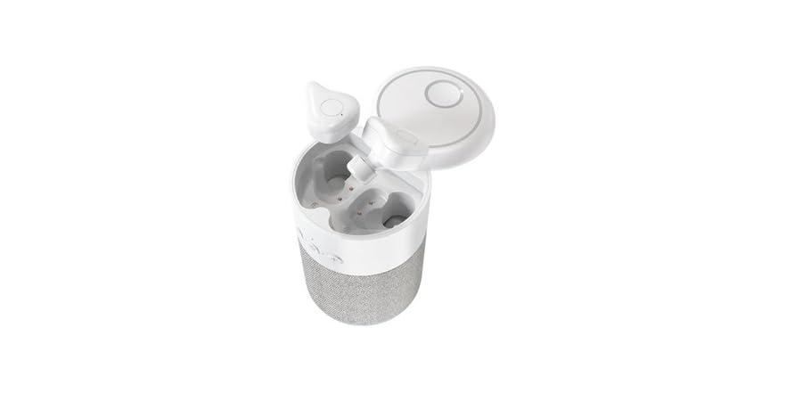 RG Pro Pair Wireless Earbuds and Speaker